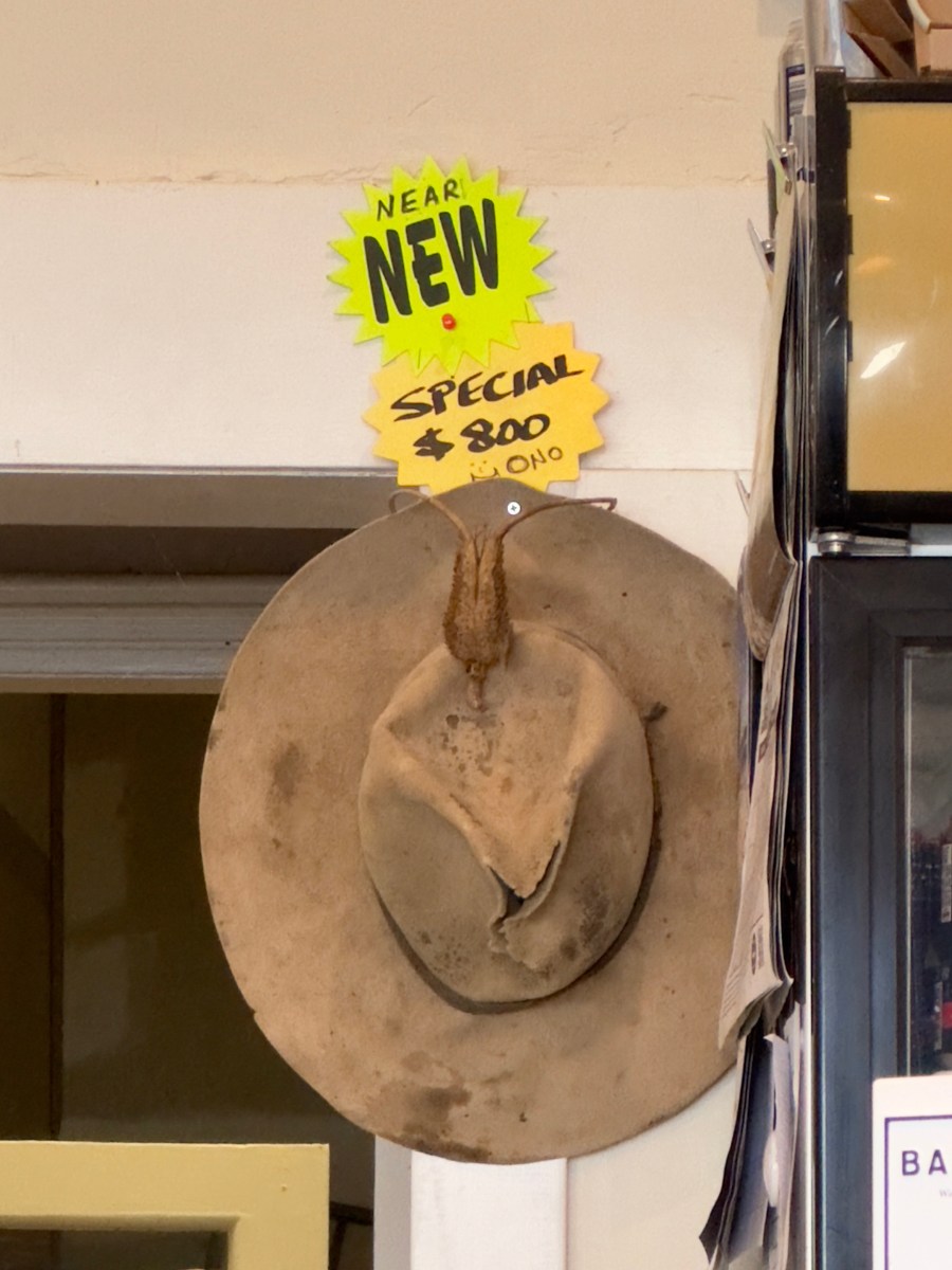 Dead or Alive – the ‘roo edition – Sage and Pepper's Musings